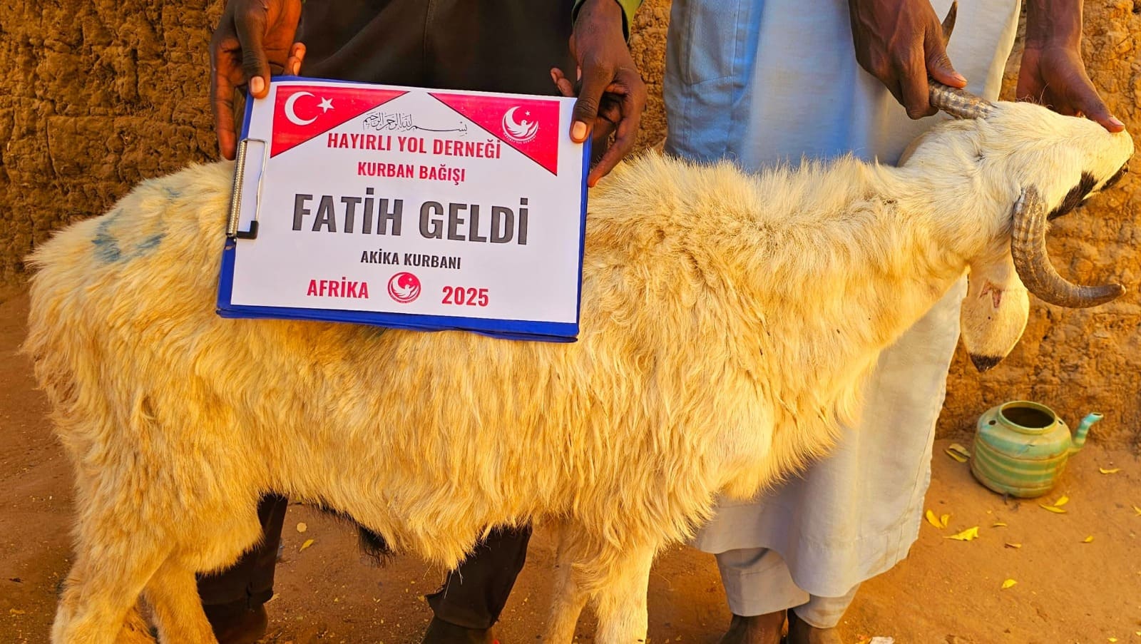 Akika Kurban » Hayırlı Yol Derneği